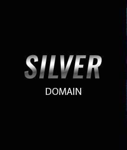 dolmabahcepalace.com.tr - Süper Domain - Premium Satılık Alan Adları ...